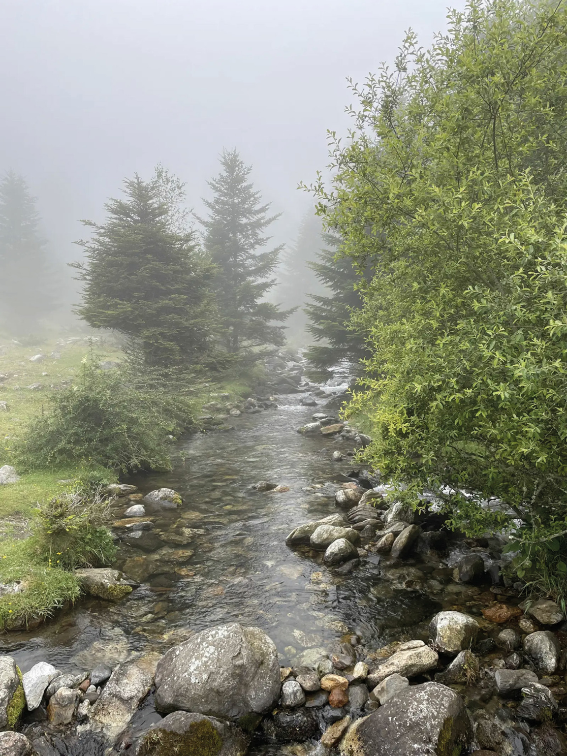 Faune et Flore des Pyrénées : Beaudéan, un écrin de biodiversité ...